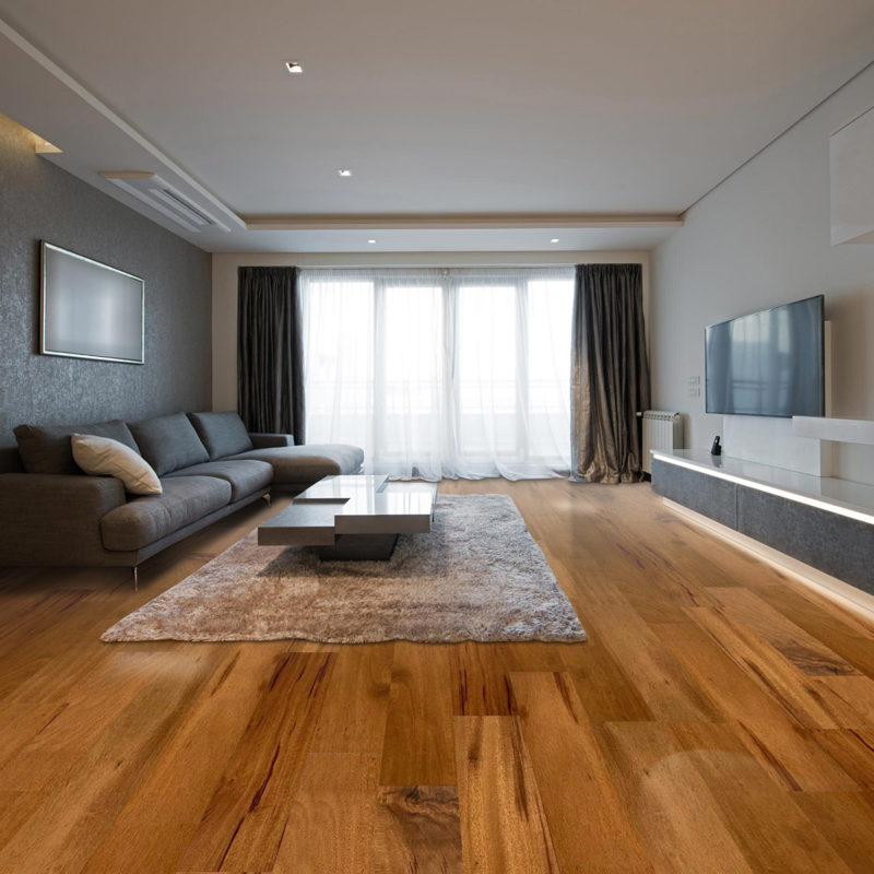 EXOTIC – Hennessy Wood